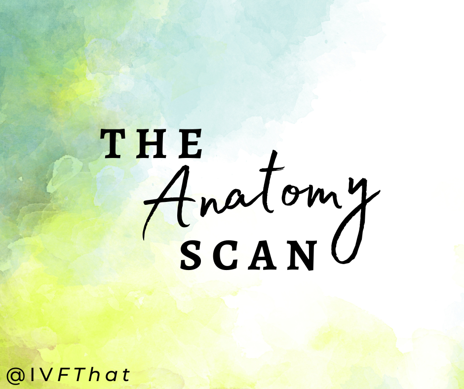 The Anatomy Scan – IVF That